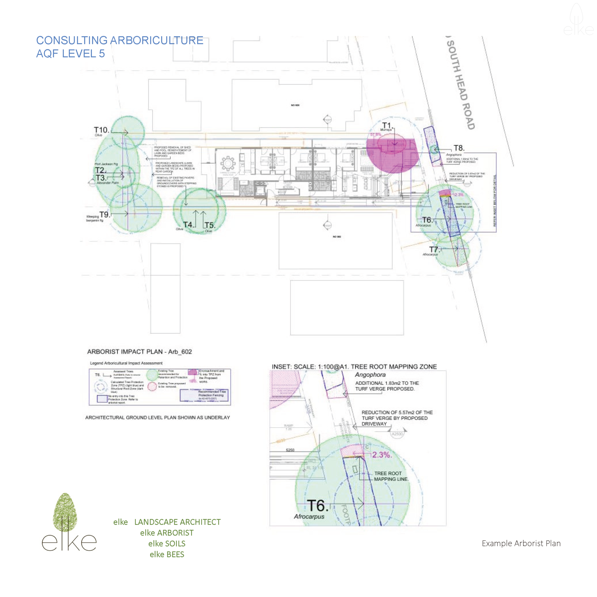 Arboriculture - Elke Haege - Consulting Arborist (AQF level 5)