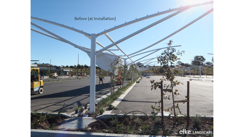 Combining trees and shade sails for car parks - Elke Haege Landscape ...